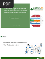 Ethiopia's National Logistics Strategy 2018-2028 | PDF | Logistics ...