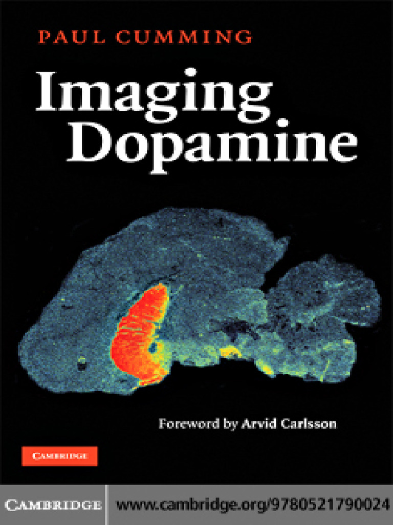 Imaging Dopamine | PDF | Dopamine | Striatum