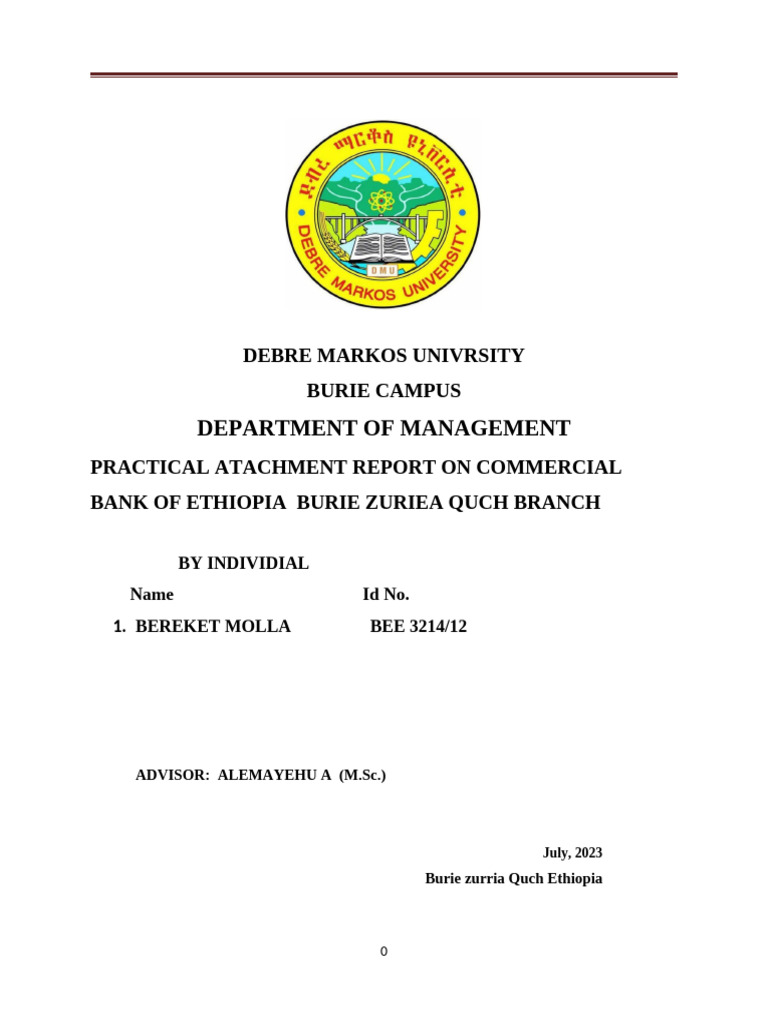 Dawit Edited Practical - Attachment. | PDF | Banks | Interest