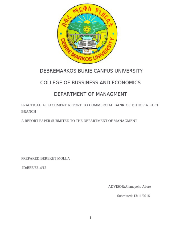 A.bereket Internship | PDF | Audit | Attachment Theory