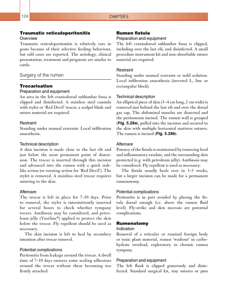 Rumenotomy 2 | PDF | Surgical Suture | Surgery