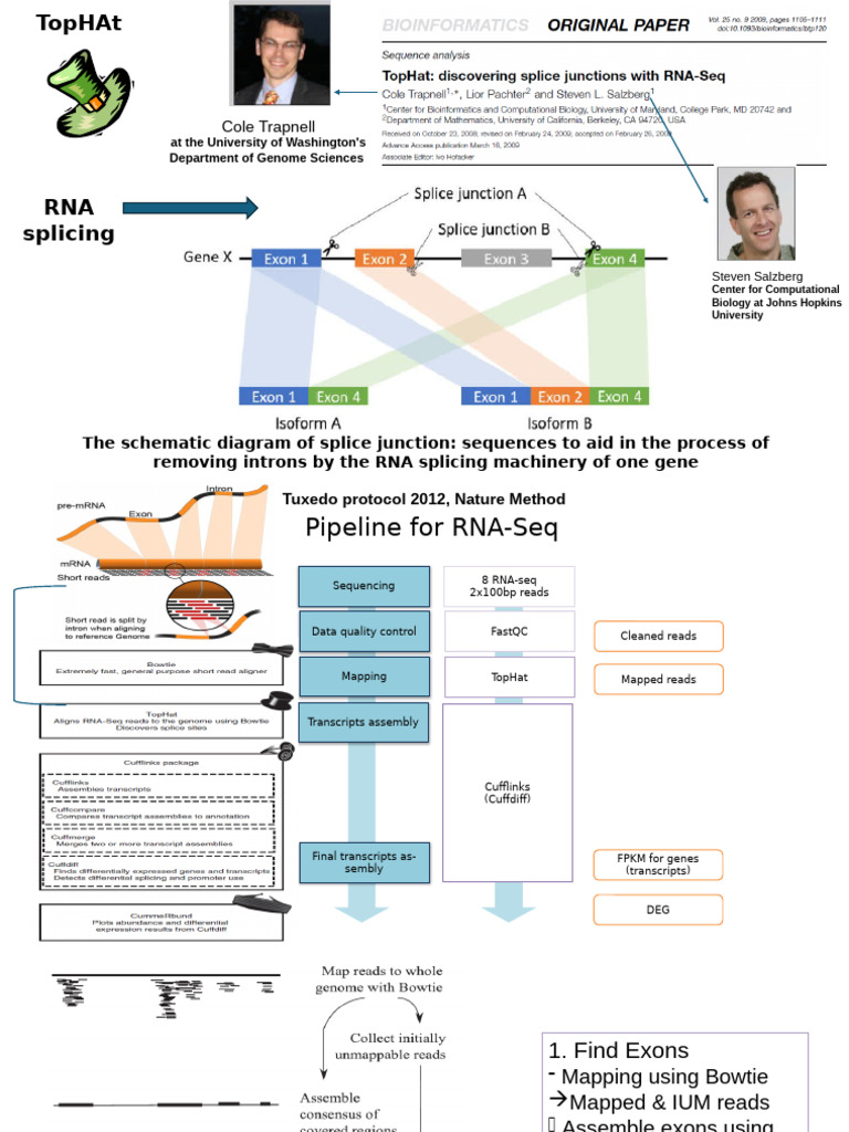 RNA Sequencing Data Analysis | PDF | Rna Splicing | Exon