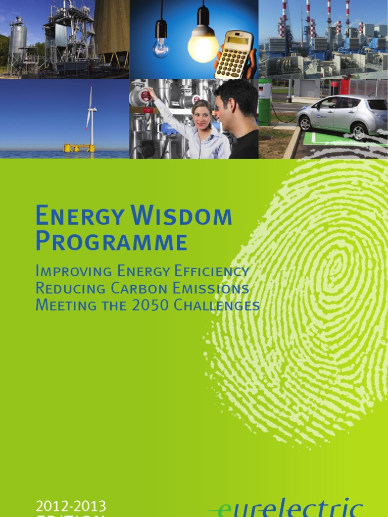 The EURELECTRIC Energy Wisdom Programme (EWP) : Improving Energy ...
