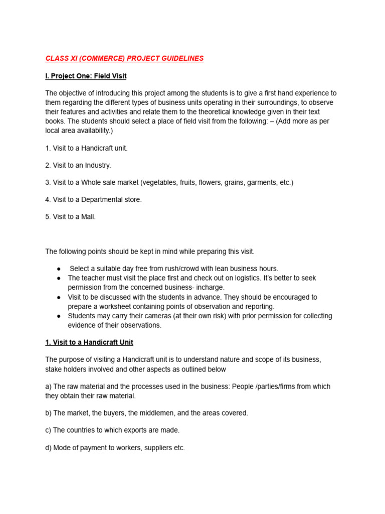 Class XI Commerce Project Guidelines | PDF | Employment | Business