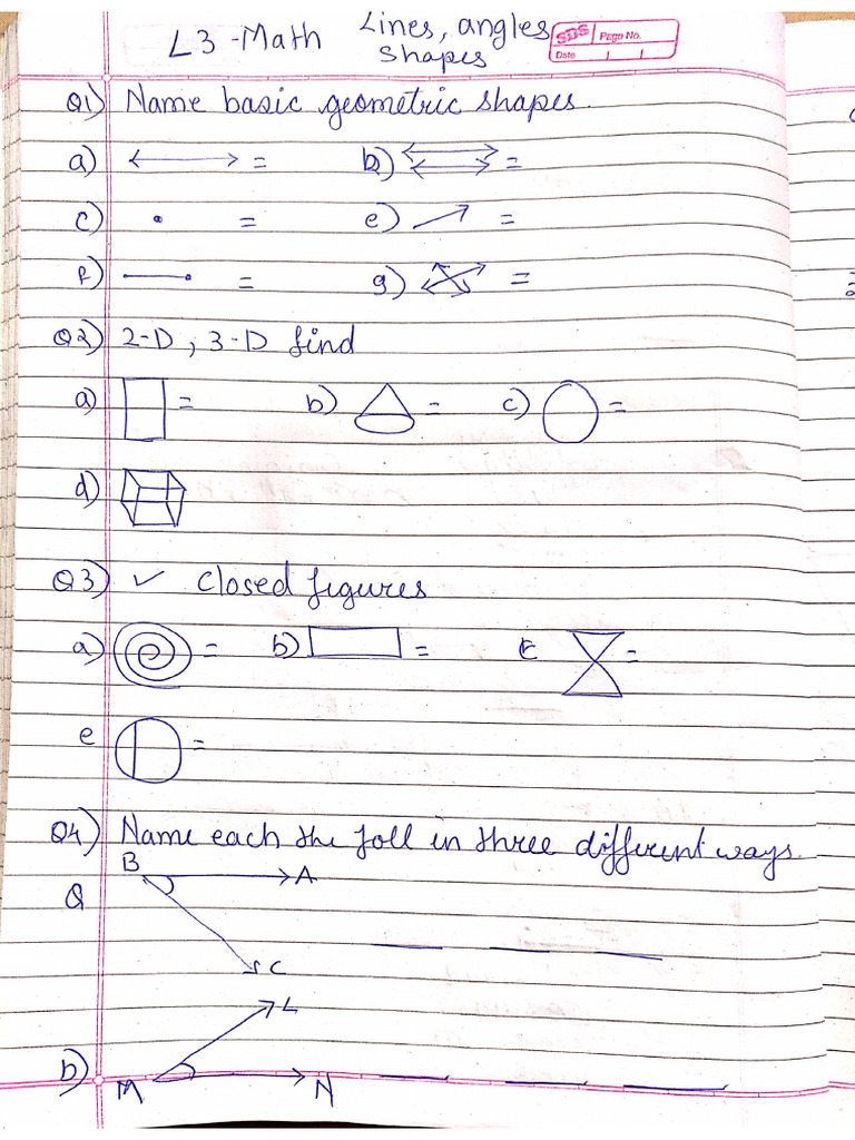 Ls 3 Lines,Shapes,Angles | PDF