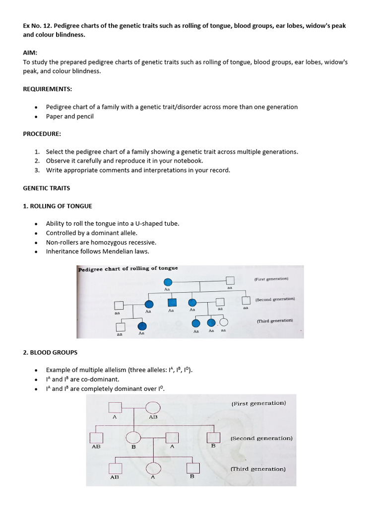 Class XII Ex 12 - 16 PRAC MANUAL | PDF | Genotype | Dominance (Genetics)