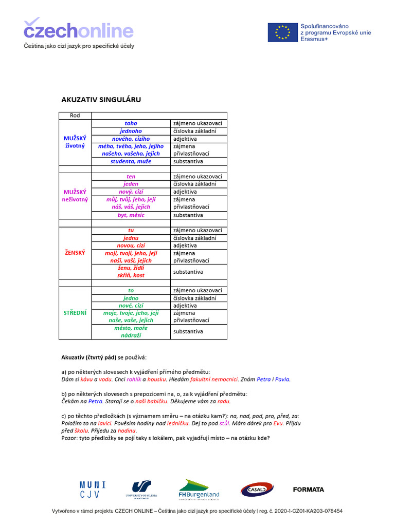 Akuzativ Singularu | PDF