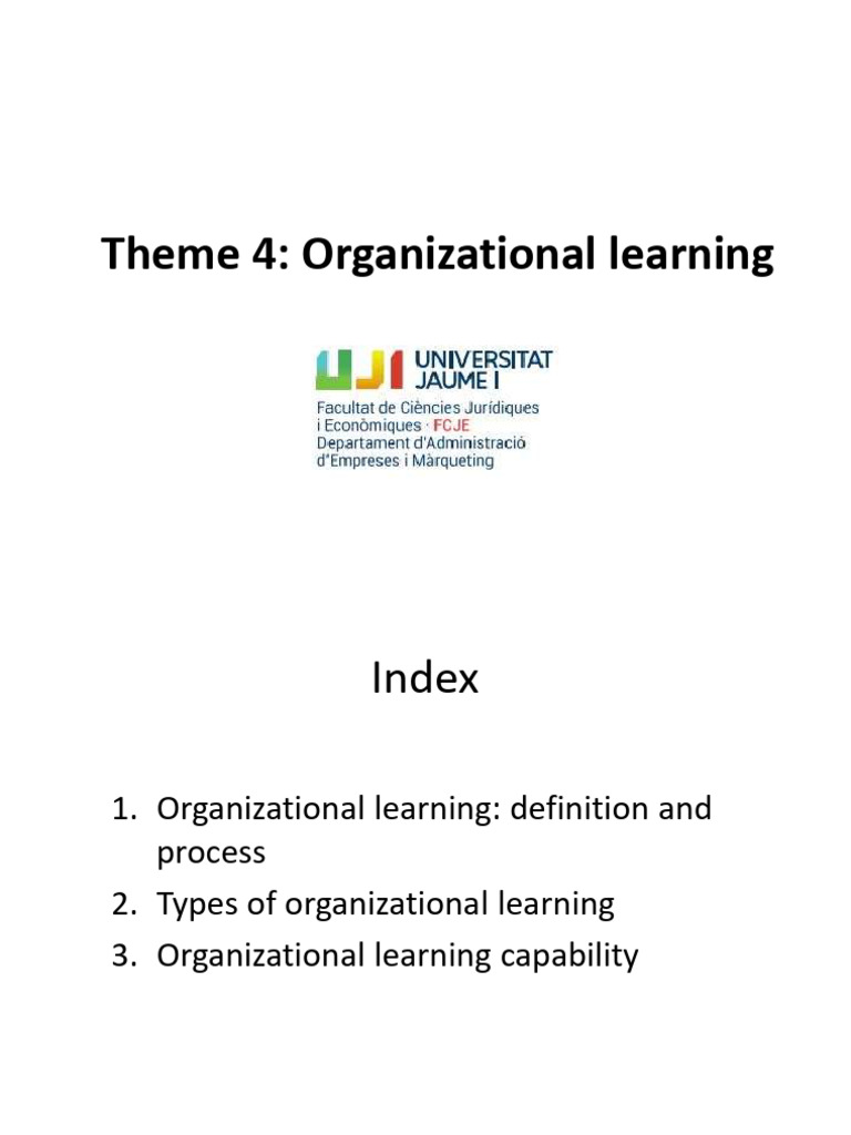 Understanding Organizational Learning | PDF | Learning | Classical ...