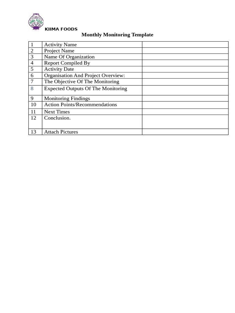 Monthly Monitoring Template | PDF