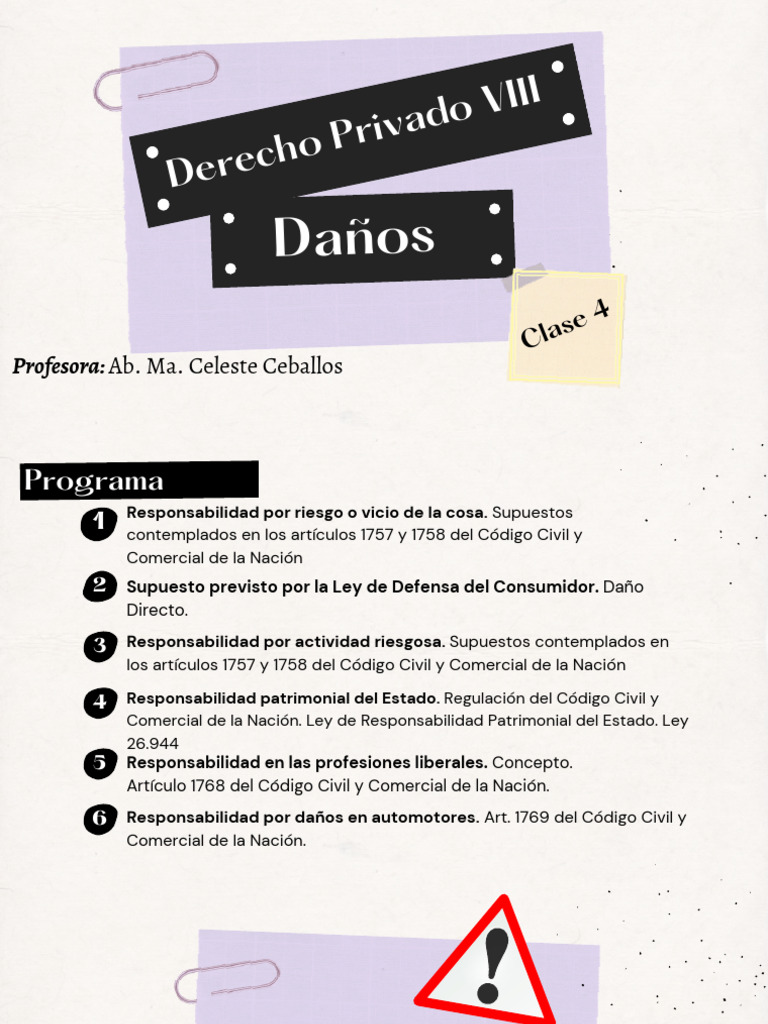 Efip 2 Daños - Clase 4 | PDF | Ley común | Justicia