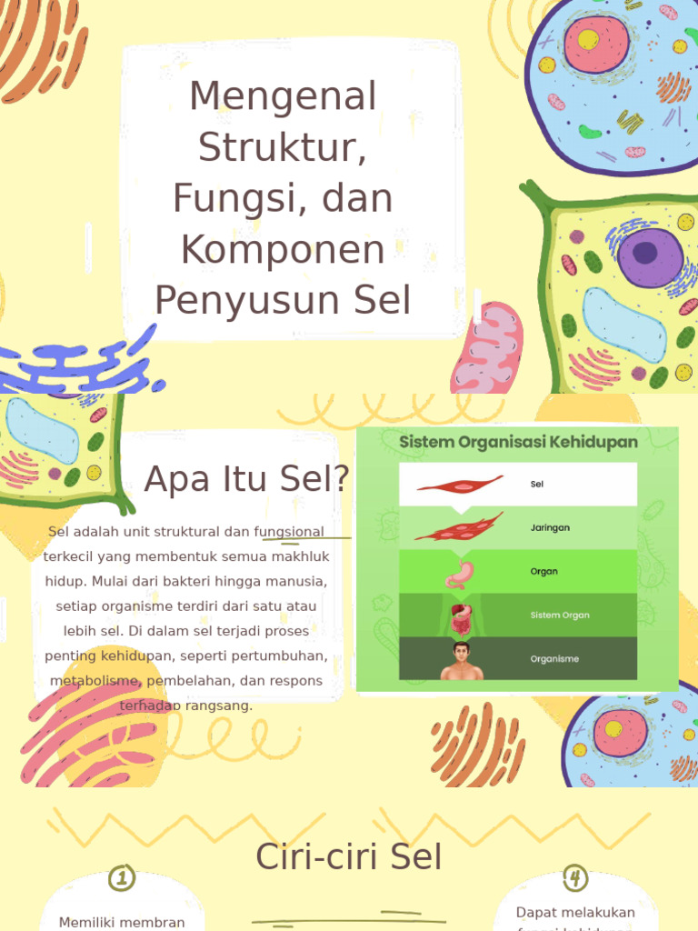 STRUKTUR DAN ORGANEL SEL | PDF
