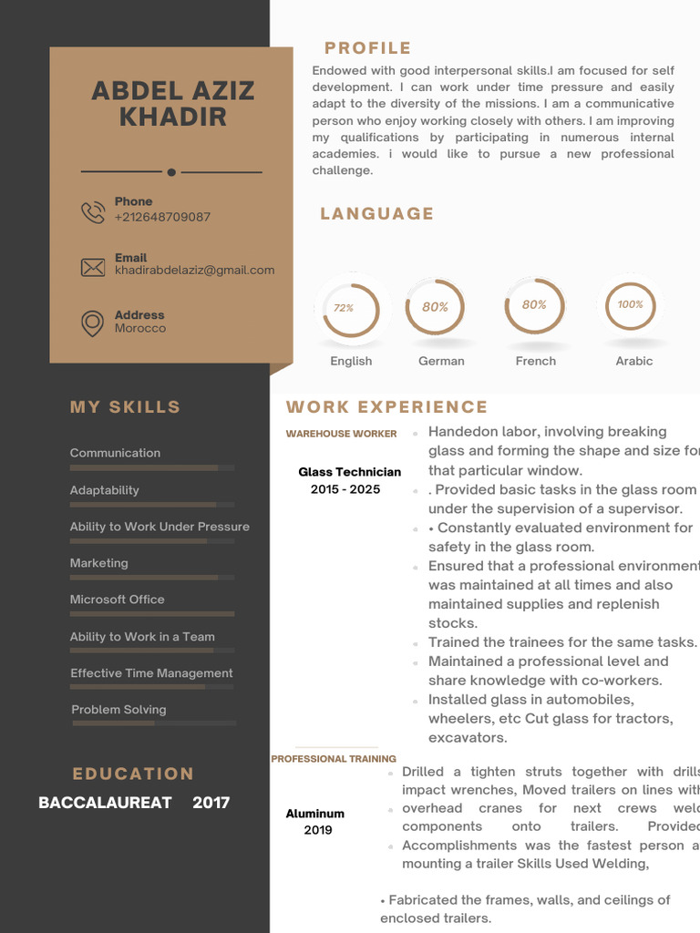 Brown Minimalist Professional Resume CV Template (_250922_214316.PDF (1 ...