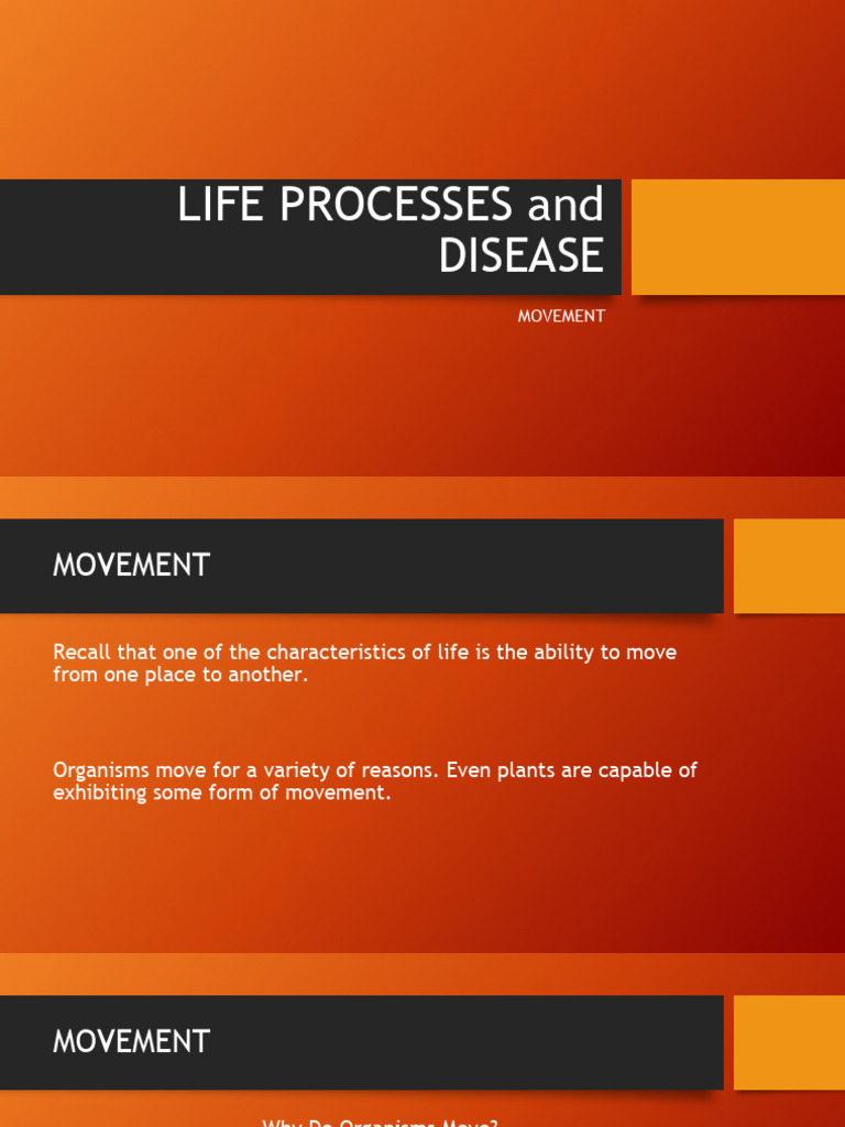 Understanding Movement in Organisms | PDF | Vertebra | Skeleton