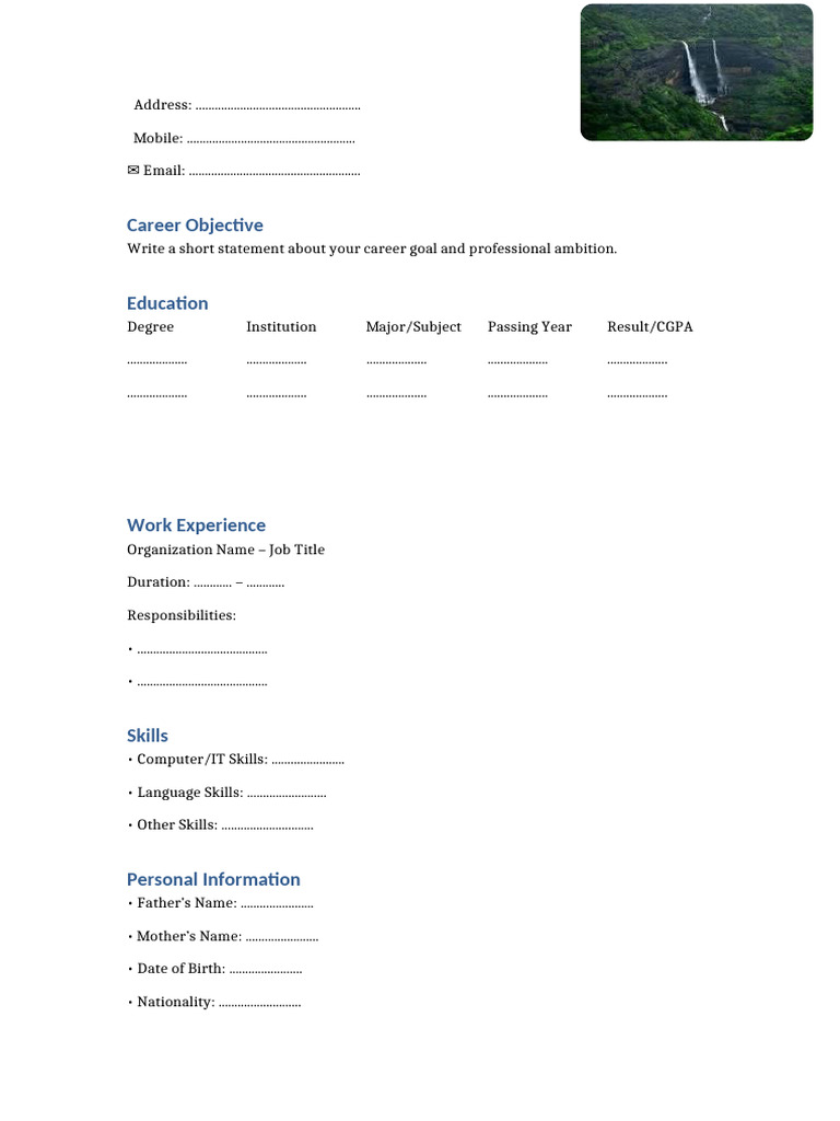 Editable CV Template in PDF Format | PDF