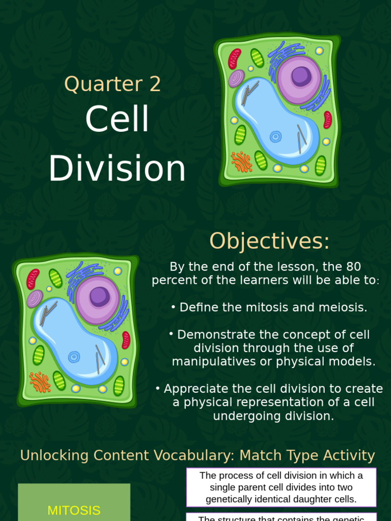 MITOSIS FINAL Amd Yhe Tgjds Fima Osjf Fia+ | PDF | Mitosis | Sexual Reproduction