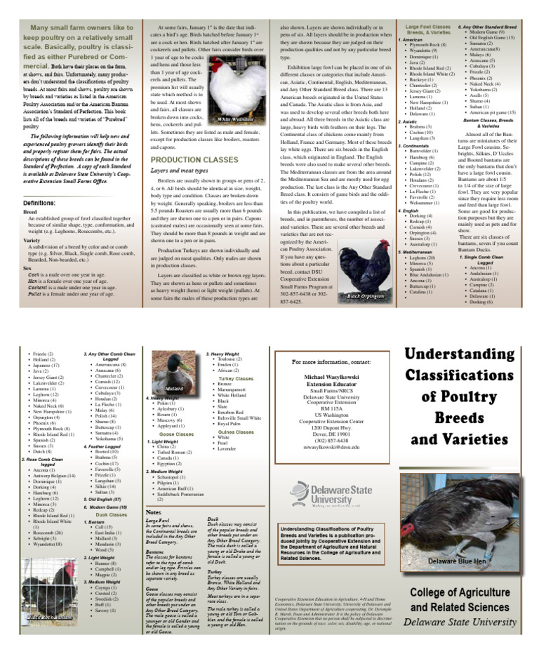 Poultry Breeds and Varieties Guide | PDF | Poultry | Chicken