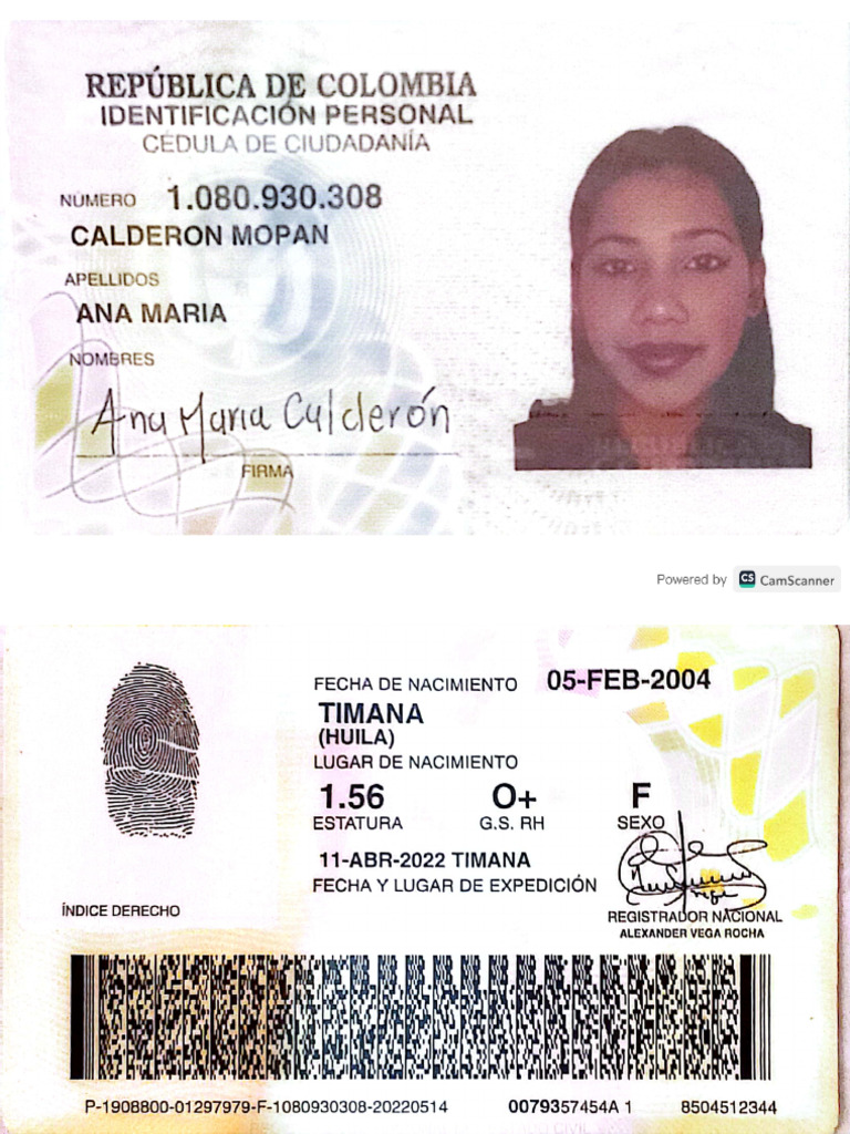 Cédula Ana | PDF