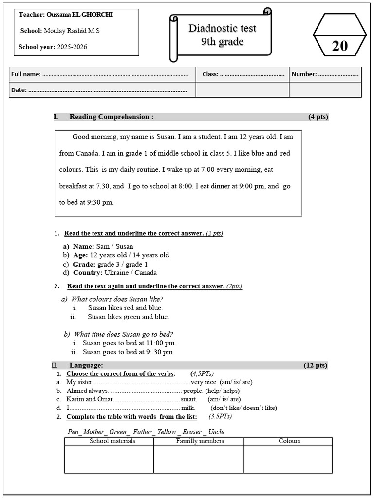 9th Grade English Diagnostic Test | PDF