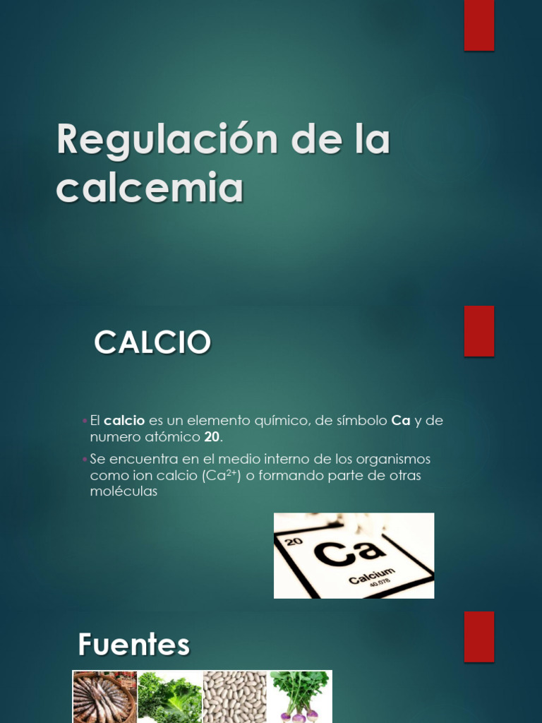 Regulación del Calcio y Fósforo en el Cuerpo | PDF | Calcio | Vitamina D