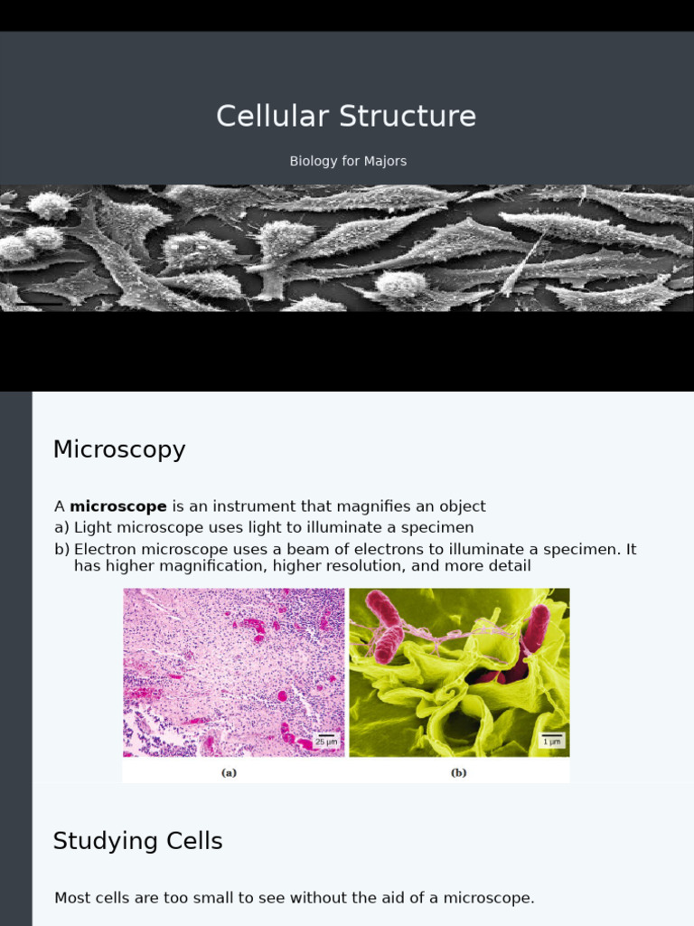 Overview of Cellular Structures and Functions | PDF | Cell (Biology ...