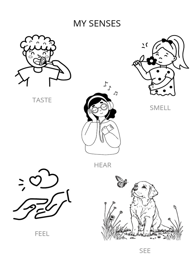 My Sense | PDF