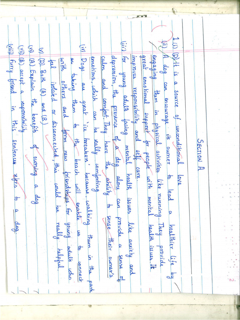English Core | PDF
