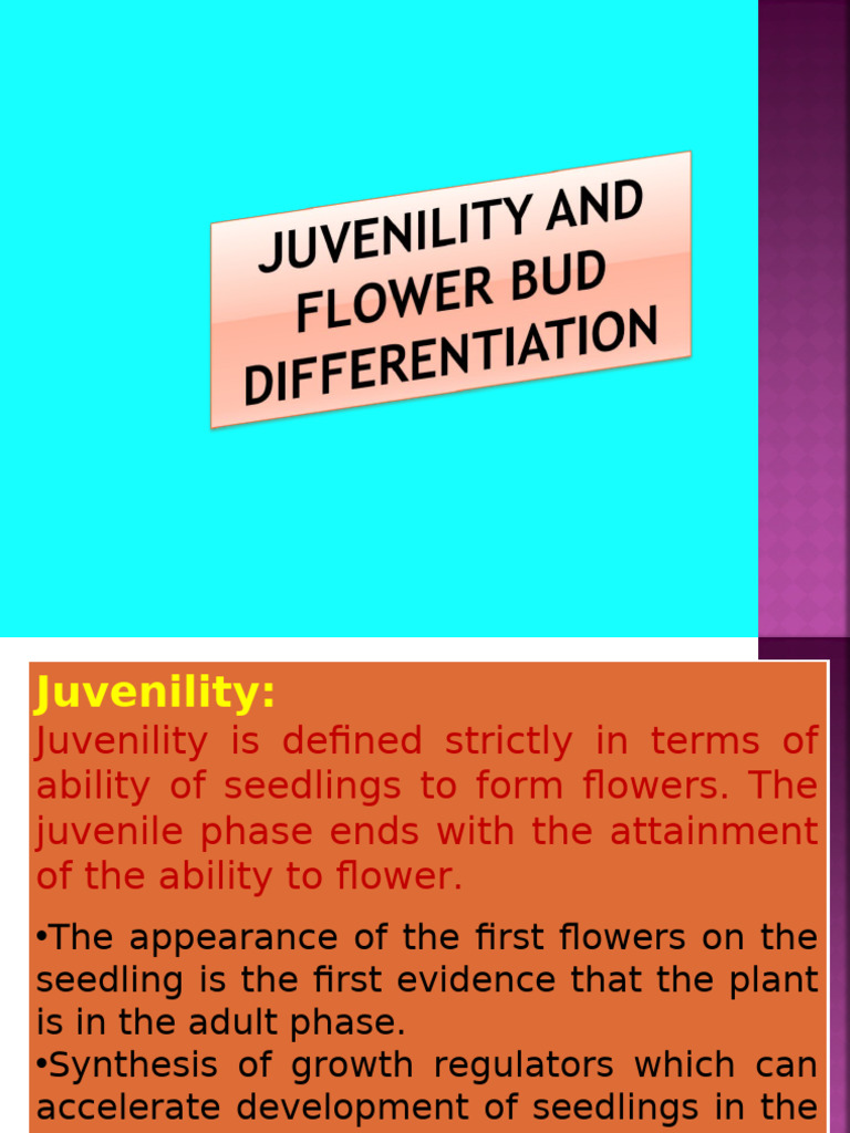Juvenility and Flower Bud Differentiation | PDF | Flowers | Fruit