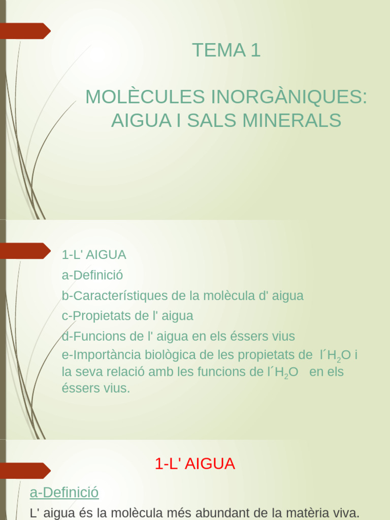 LÂ Aigua I Les Sals Minerals | PDF