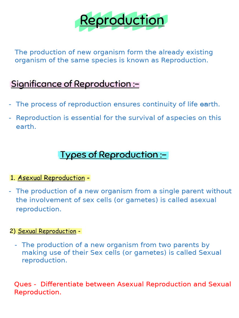 Chapter 8 Reproduction Notes | PDF | Reproductive System | Sexual ...