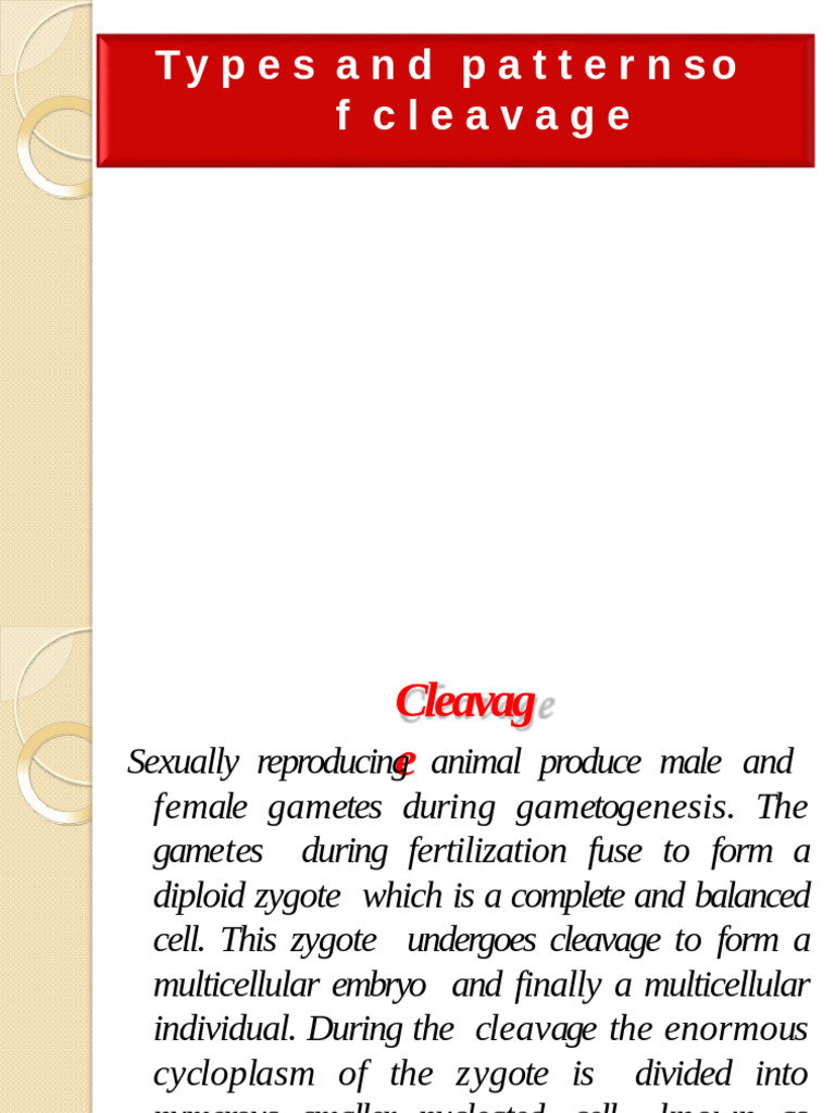 Types & Patterns of Cleavage - Shared by Ma'am Fakhra | PDF | Mitosis ...