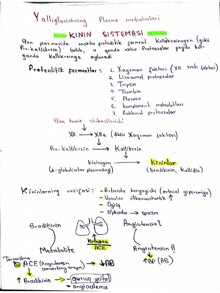 Kinin Sistemasi. (Maxsus) | PDF