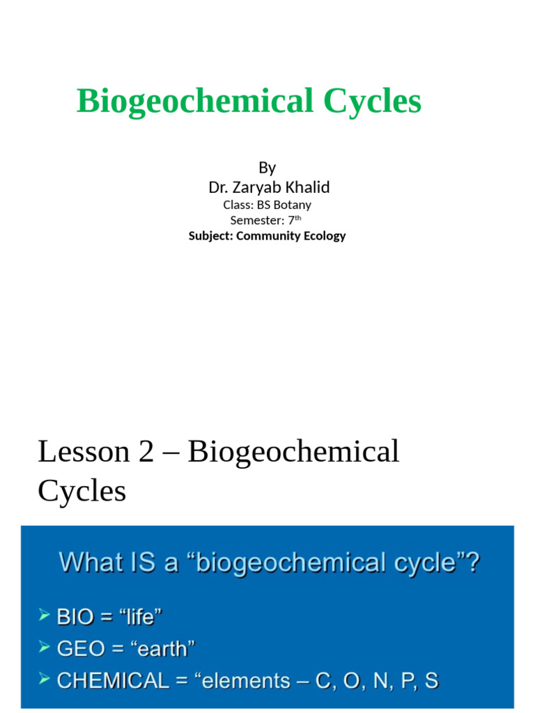 Bio Geo Chemical Cycle | PDF | Nitrate | Water