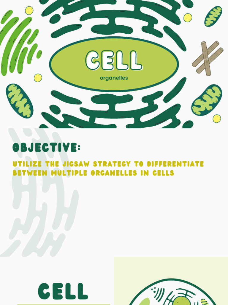 Cell Organelles Jigsaw Strategy- 3 | PDF