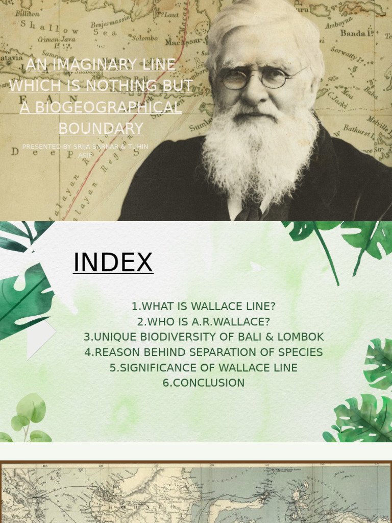 Understanding the Wallace Line | PDF | Biology