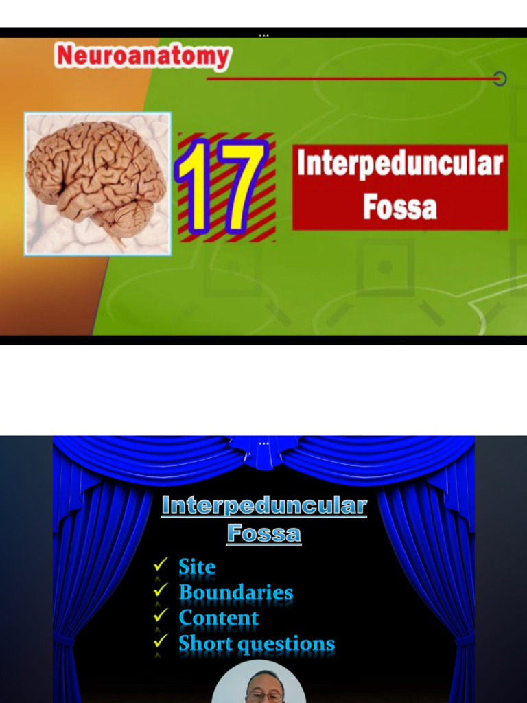 Neuro 17 (Interpeduncular Fossa) ايمن خنفور | PDF