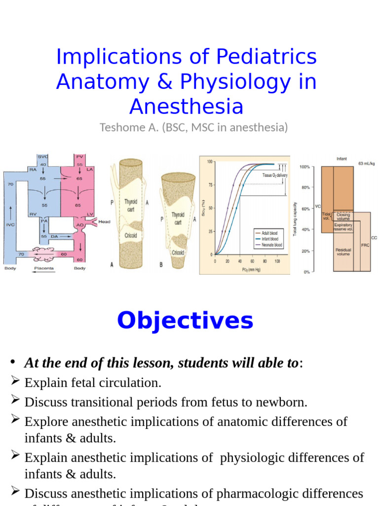 Pediatrics Anatomy & physiology1 - AU | PDF | Respiratory Tract | Lung