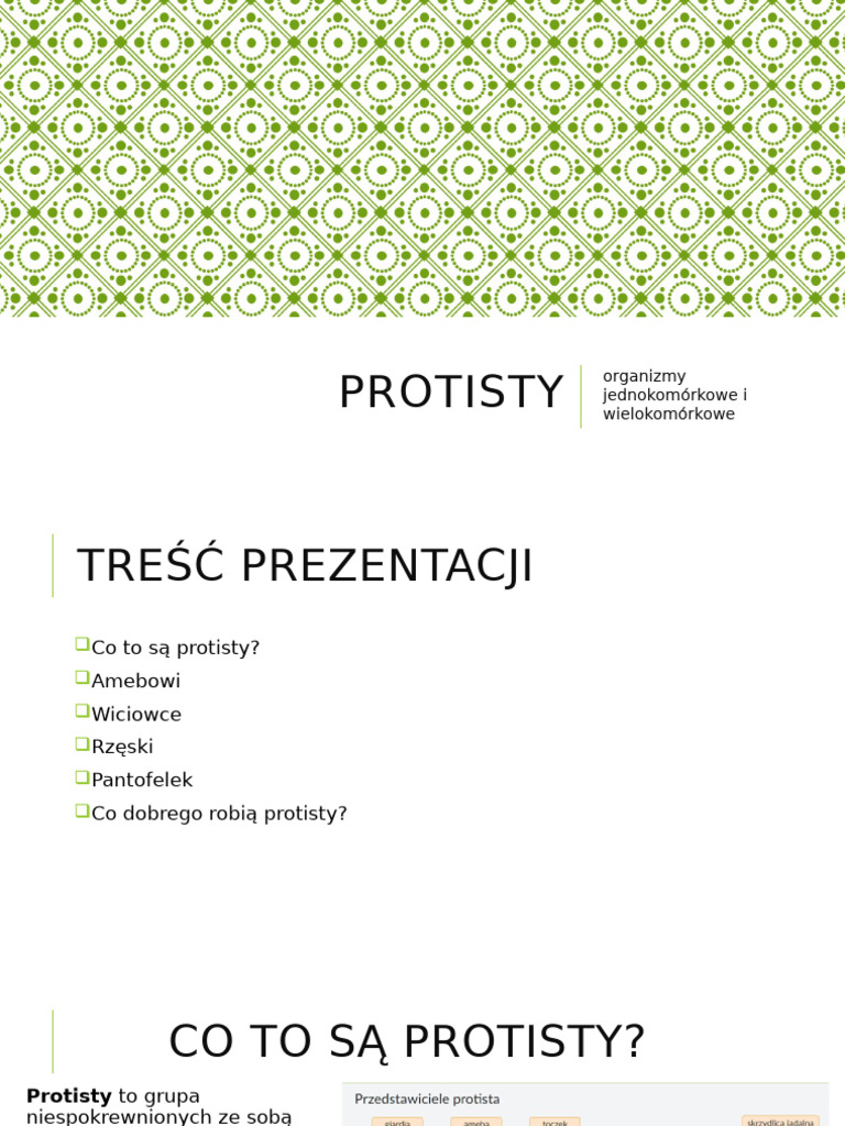 Protisty | PDF