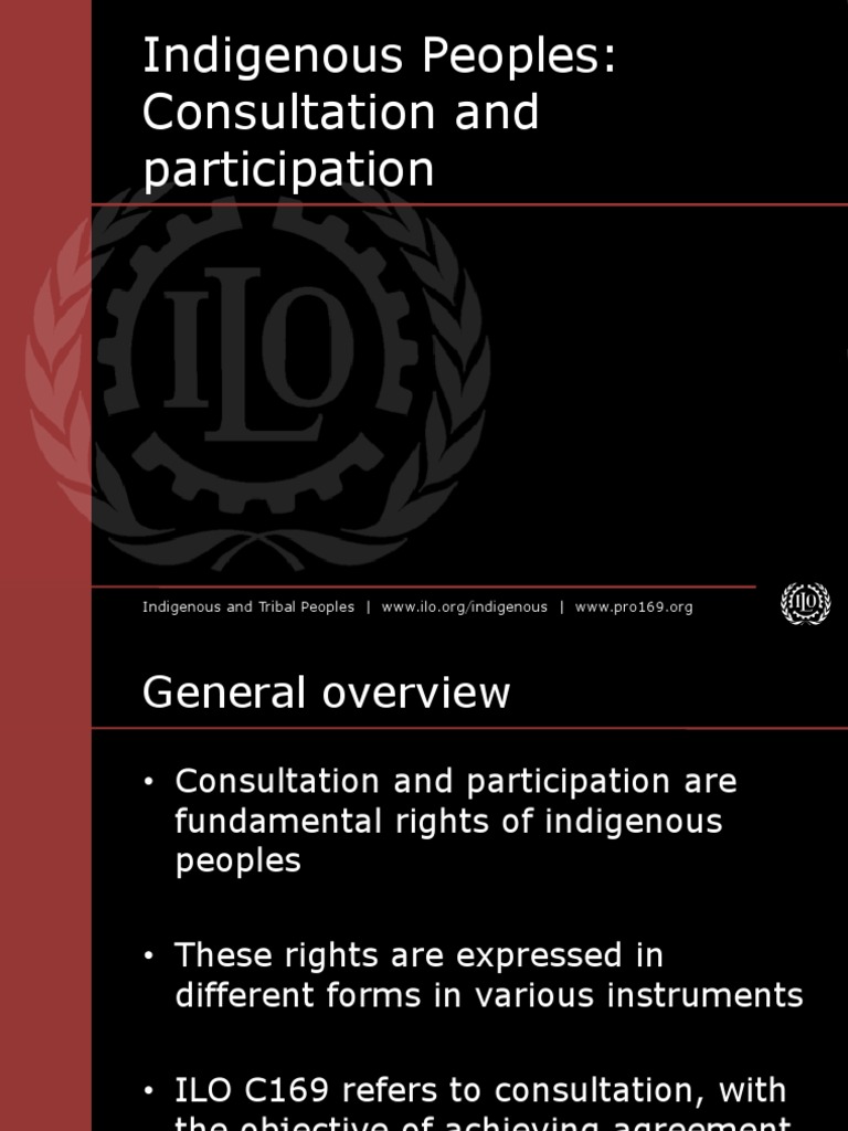 Consultation and Participation | PDF | Politics | Social Science