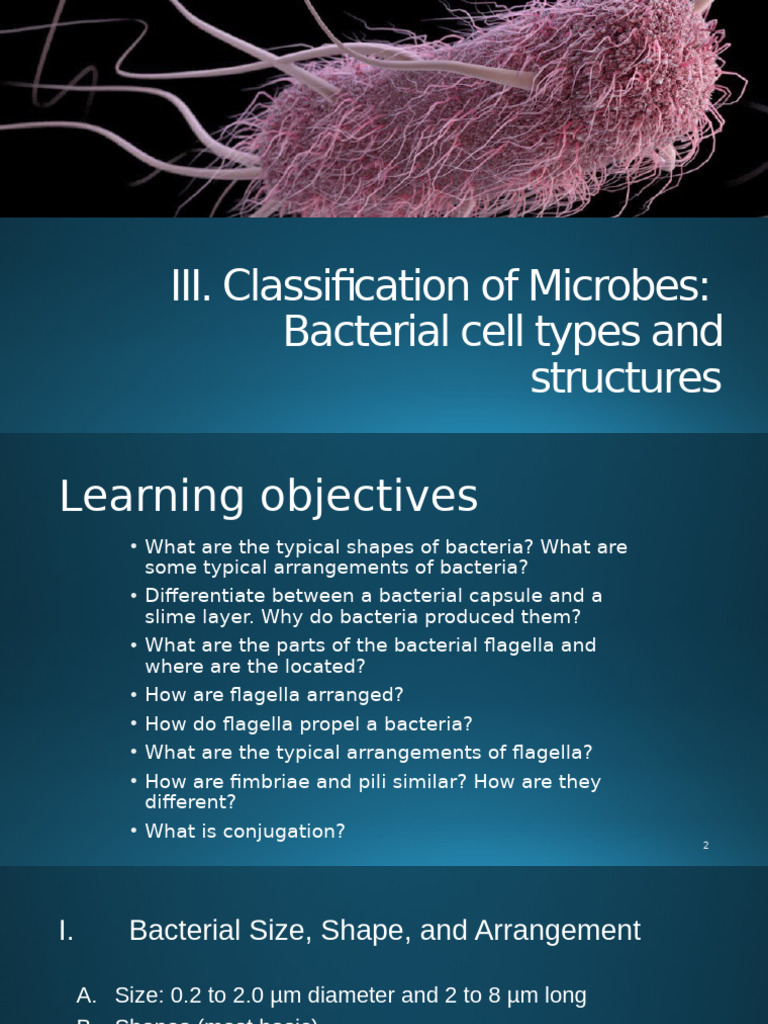 3 - Classification of Microbes, Cell Structures | PDF | Bacteria ...