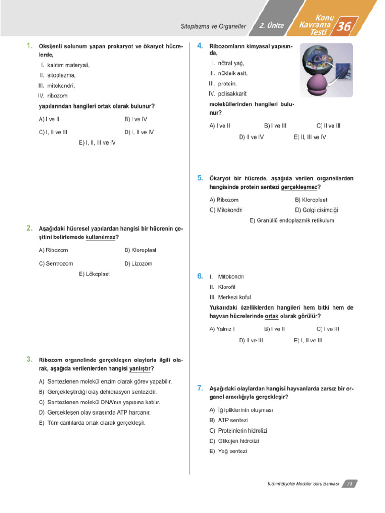 Pdf24 Images Merged 2 | PDF