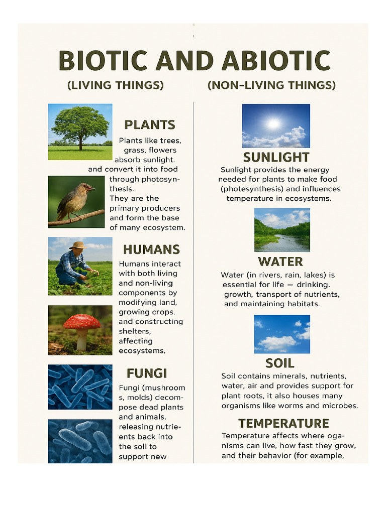 Biotic and Abiotic Large Poster | PDF