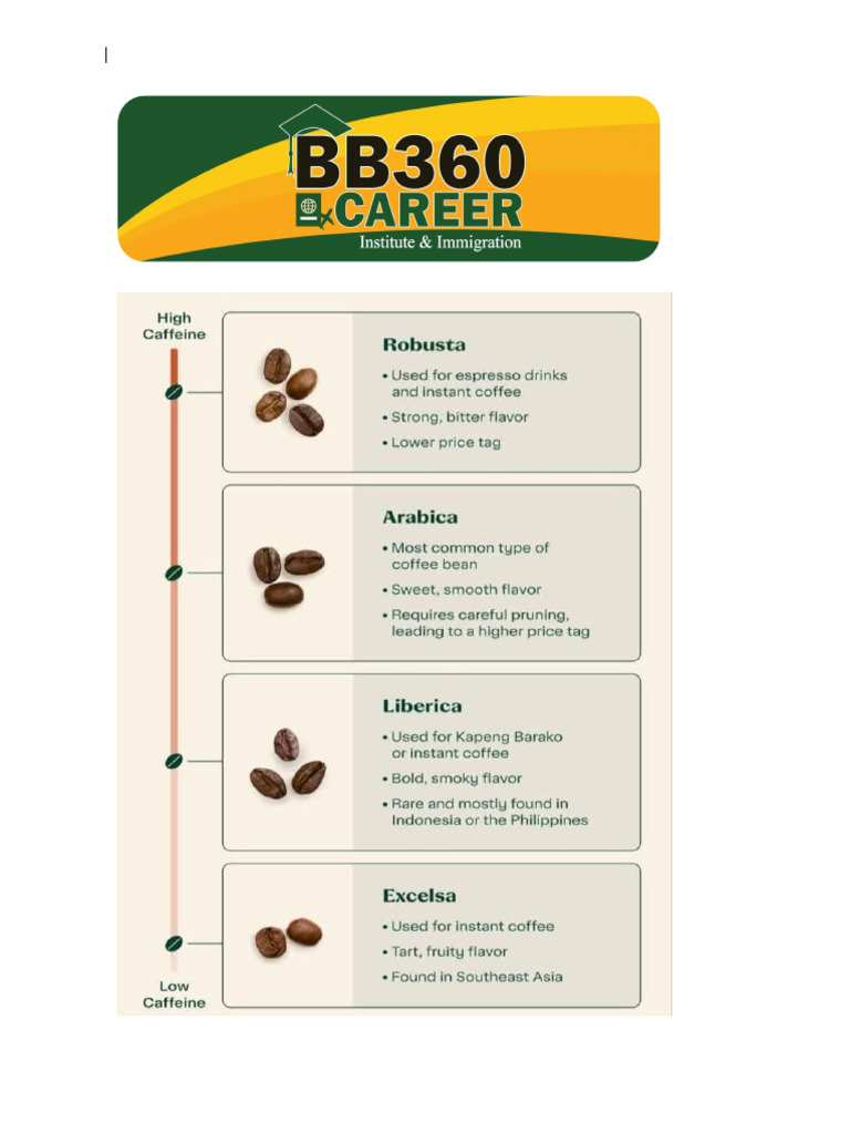 BB360 Barista | PDF