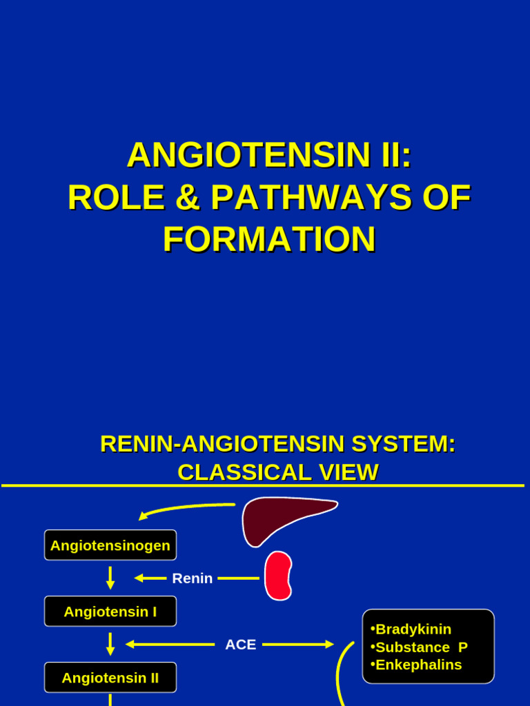 Angiotensin II: Role and Pathways | PDF | Angiotensin | Clinical Medicine