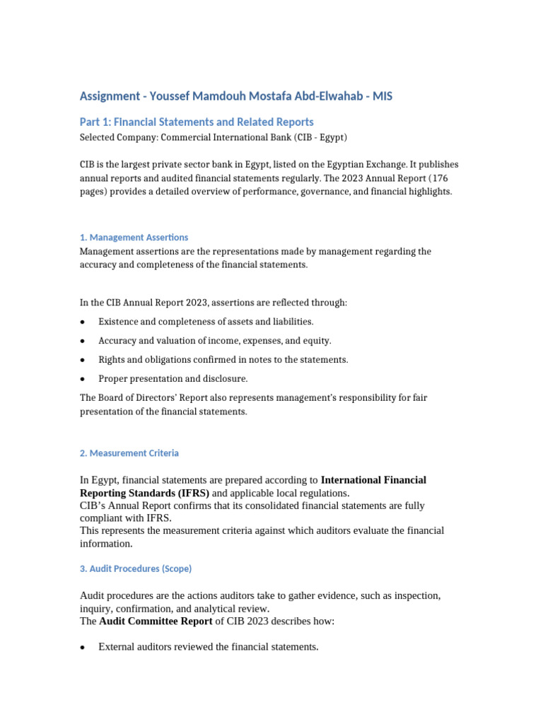 Computerized Auditing Assignment CIB | PDF | Audit | Internal Control