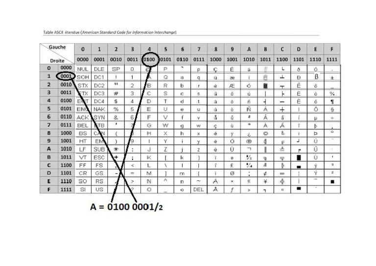 Ascii Table Etendu | PDF