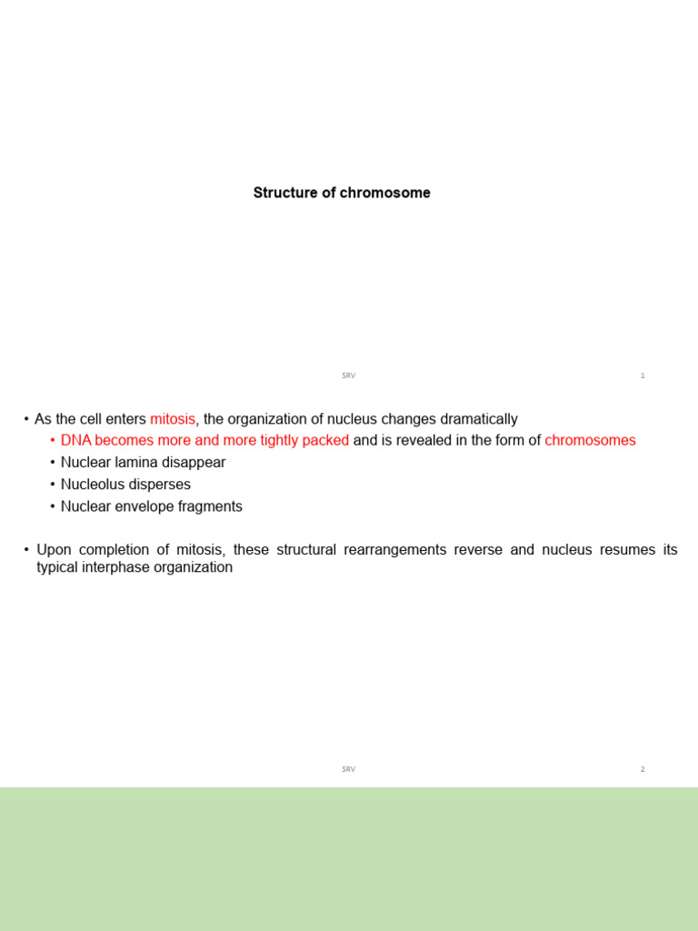 Chromosome Structure 2025 | PDF | Histone | Cell Nucleus
