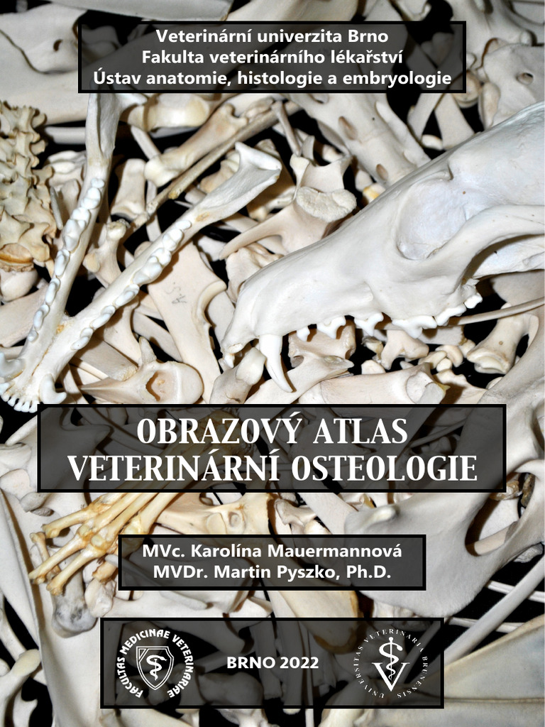 FVL Mauermannova - Vystup Obrazovy Atlas Osteologie | PDF