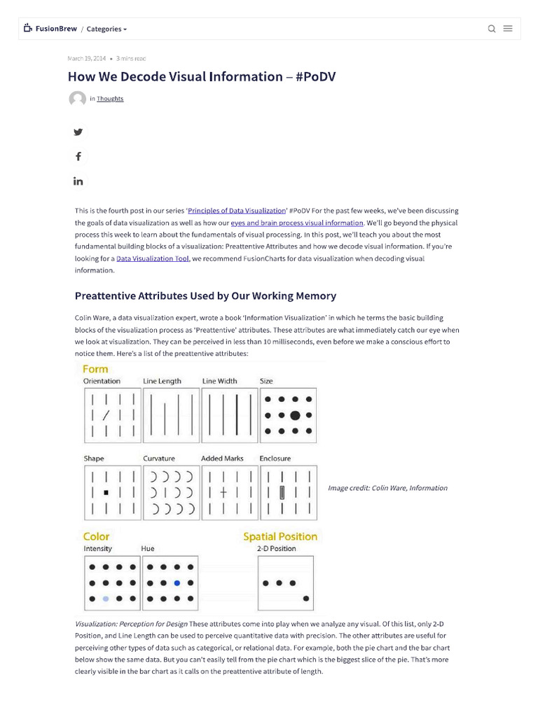 Lectura How We Decode Visual Information | PDF