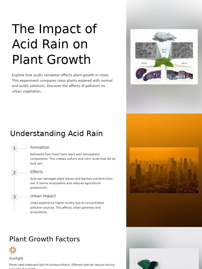 The Impact of Acid Rain On Plant Growth | PDF | Plants | Water