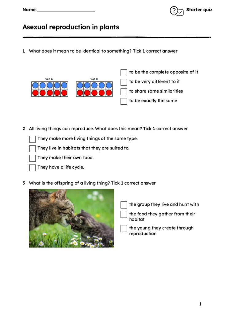 Starter Quiz Questions | PDF